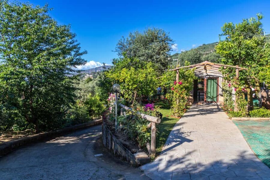 SORRENTO: Limoncello Making And Tasting Experience - Tasting and Desserts