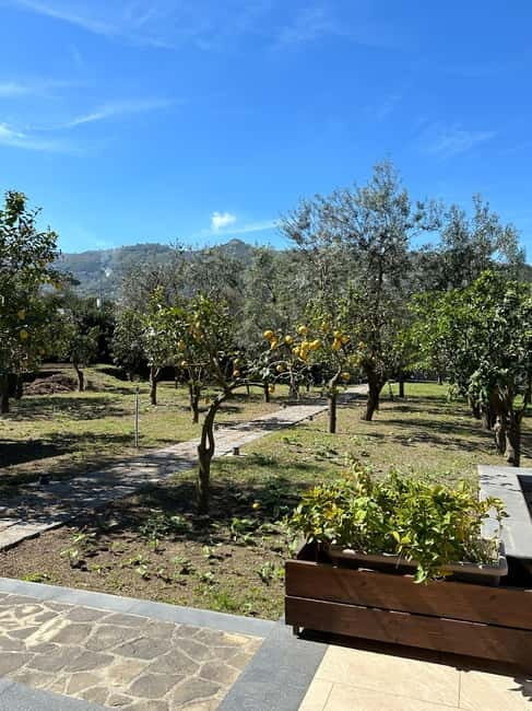 Sorrento: Mozzarella experience. Say CHEESE with us! - The Itinerary — A Closer Look