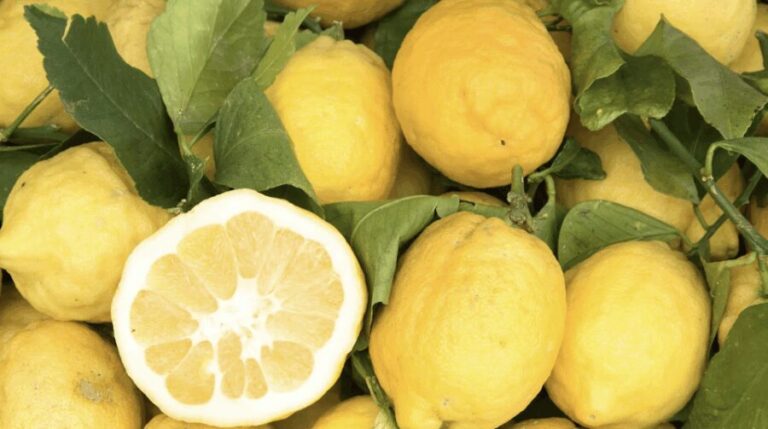 Sorrento: Walking Tour in Lemon Garden w/ Food Tasting - Review Highlights & Authentic Insights