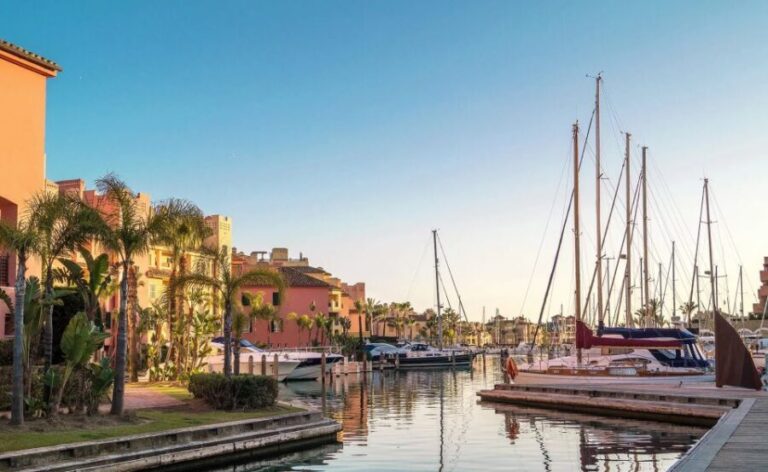 Sotogrande: Dolphin Watching Boat Trip with Drink - The Itinerary: What to Expect