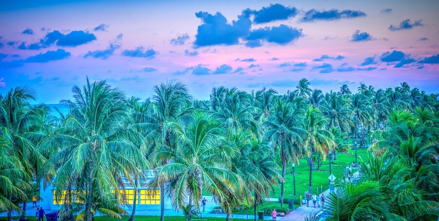 Palm trees on South Beach Miami at sunset