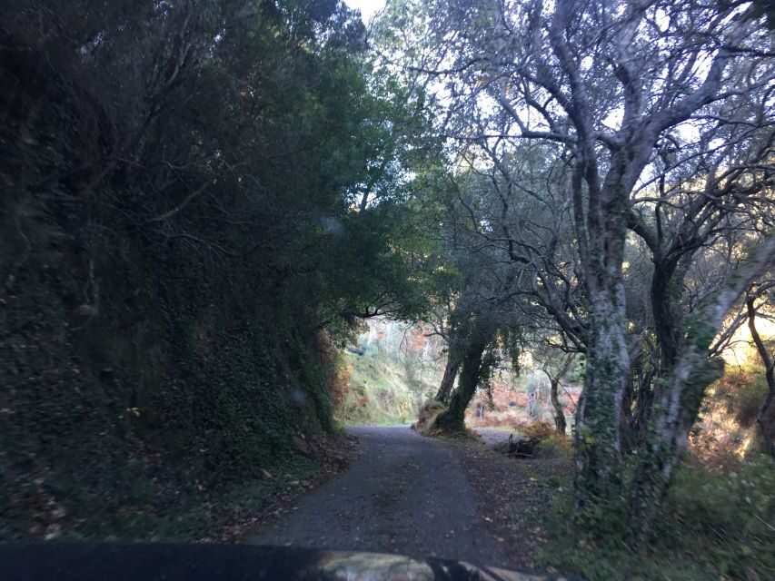 South Corfu Premium 4x4: Villages, Views & Flavours - The Itinerary in Detail