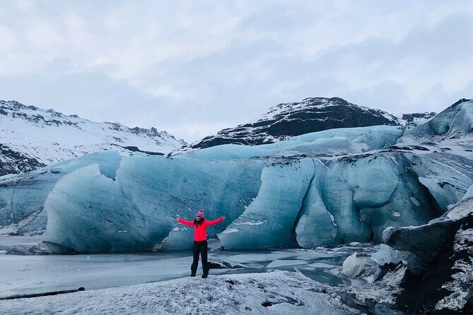 South Iceland Highlights and Northern Lights Combo Full-Day Tour - Authentic Insights from Travelers