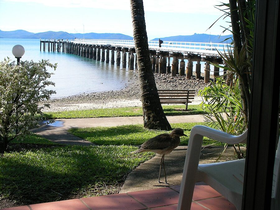 Big jetty at South Molle Island Whitsundays