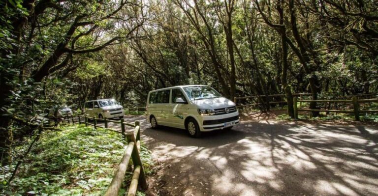 South Tenerife: San Cristóbal de La Laguna and Anaga Tour - What to Expect During the Tour