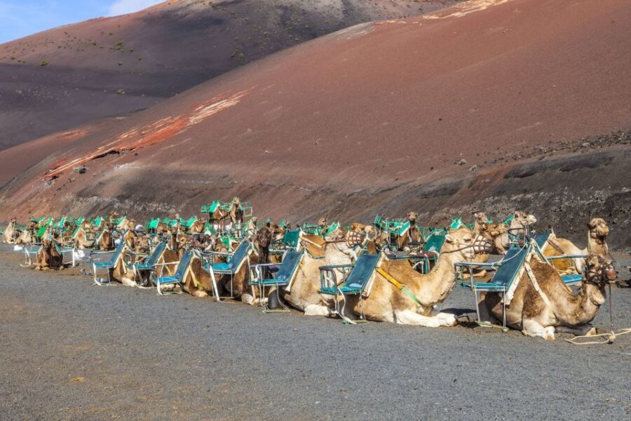 South Tour: Timanfaya National Park - Transportation and Pacing
