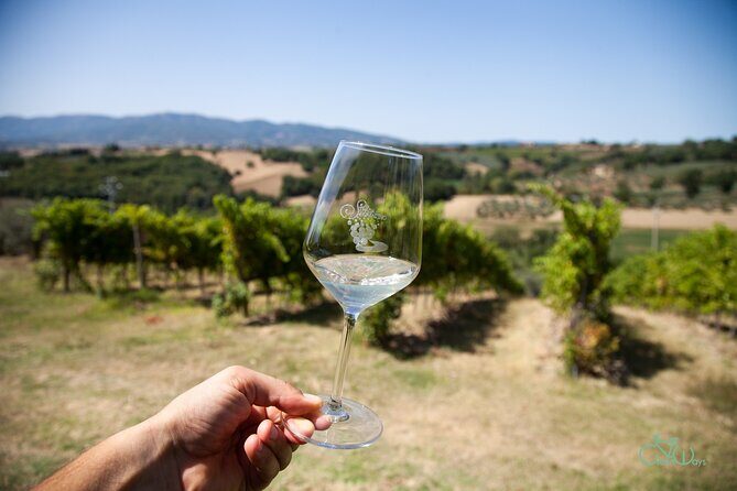 Spello E-Bike & Wine Tour with Scenic Winery Lunch - Who Will Love This Tour?