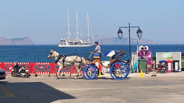 Spetses Island: Full Day Trip from Athens with Swimming - Why This Tour Works Well