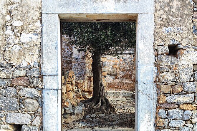 Spinalonga, Plaka, Elounda, Agios Nikolaos & Olive Mill | Private - A Deep Dive into the Itinerary