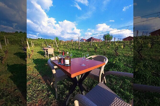 S&S Winery - Wine Tasting Experience in Ohrid - The Tasting Itself