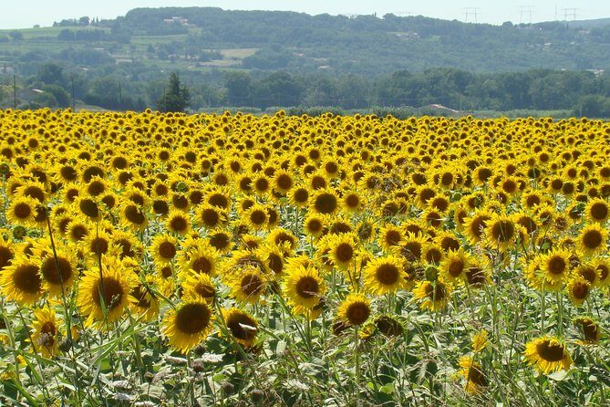 St Cirq LaPopie and Pech Merle Cavern Tour from Toulouse - Who Would Love This Tour?
