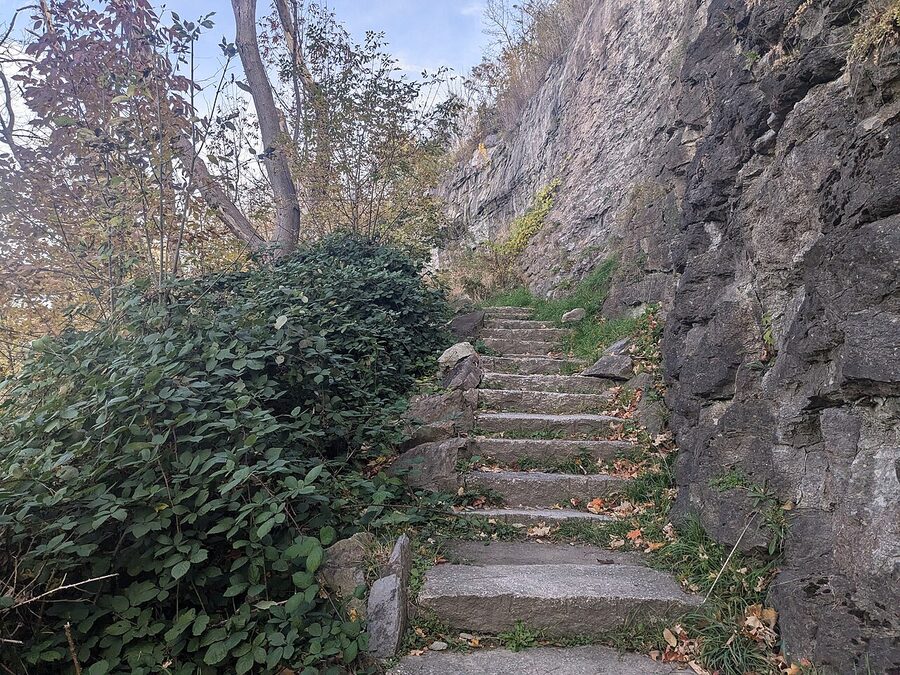 Wooden staircase inside Niagara Falls State Park