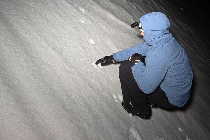 Starlit Adventure Tour in Tromsø  With Professional Photographer - Pricing and Overall Value