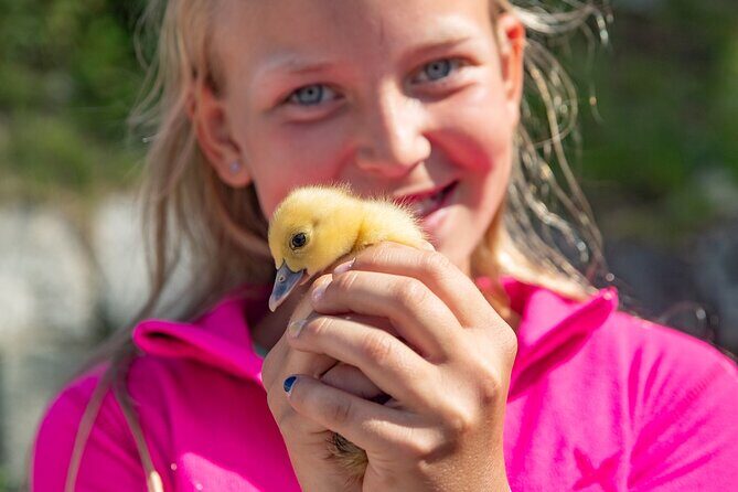 Steim Farm Experience in Vik, Norway - What is the Steim Farm Experience All About?