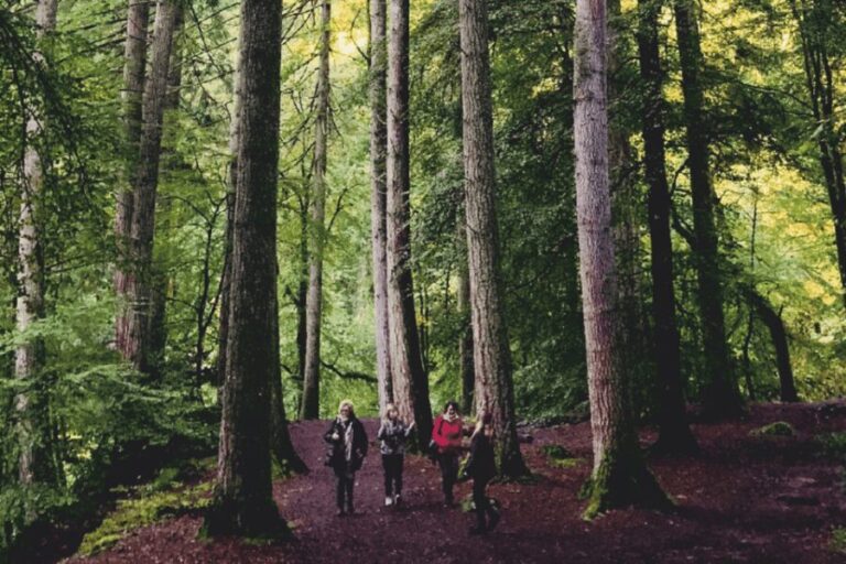 Stirling, Highlands & Destilería desde Edimburgo en español. - The Practical Aspects: Comfort, Value, and Tips