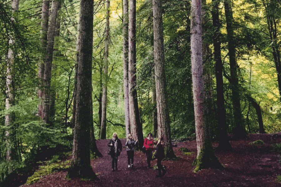 Stirling, Highlands & Destilería desde Edimburgo en español. - The Practical Aspects: Comfort, Value, and Tips