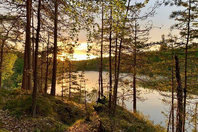 Stockholm: Sunset Hike in Tyresta National Park with Meal - What Sets This Tour Apart?