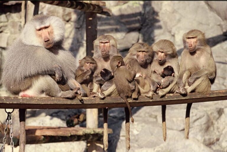 Stockholm: The Skansen Aquarium Entry Ticket - Final Thoughts