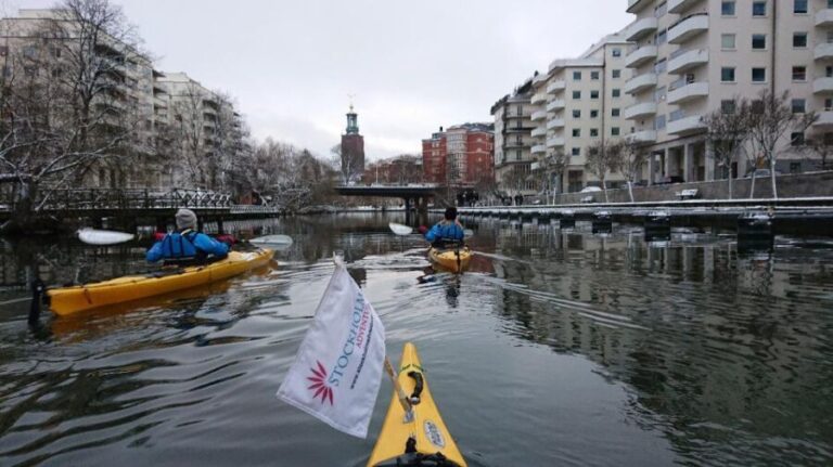 Stockholm: Winter City Kayaking Tour - Who Will Love This Tour?