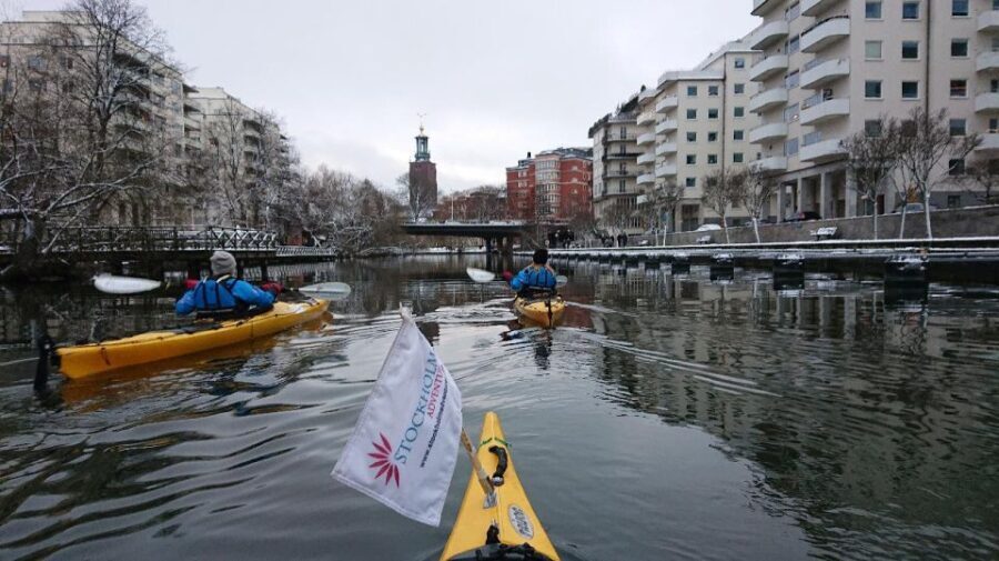Stockholm: Winter City Kayaking Tour - Who Will Love This Tour?