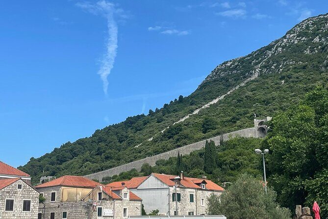 Ston Seafood & Peljea Wine Boat Tour with Oysters and Mussels - The Food and Wine Highlights