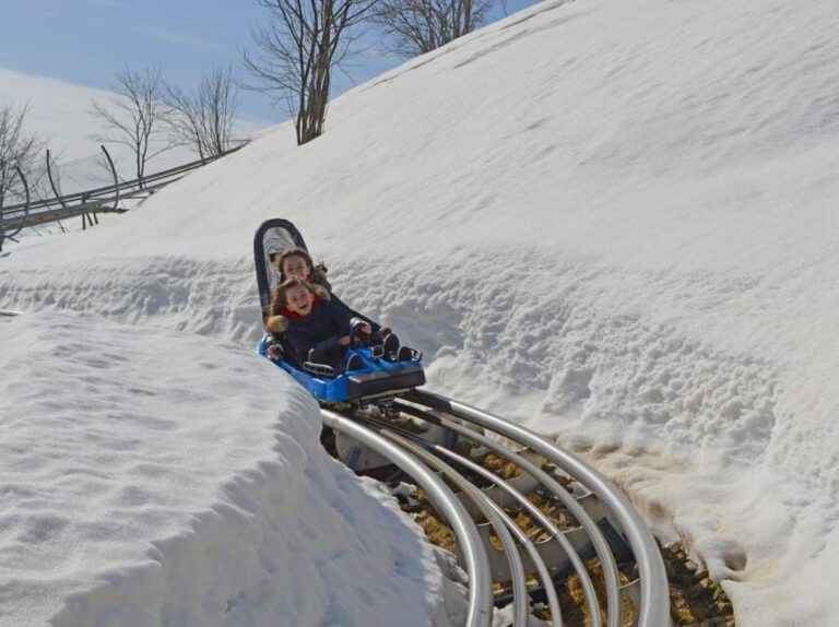 Stresa: Alpyland Alpine Coaster Ride on Mount Mottarone - Who Will Love This Experience?