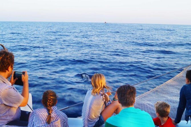 Sunrise Boat Trip in Mallorca with Dolphin-Watching - Who Is This Tour Best Suited For?