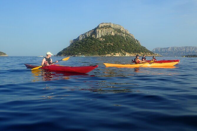 Sunset Dolphin Kayak Tour at Golfo Aranci - Practical Details and Tips