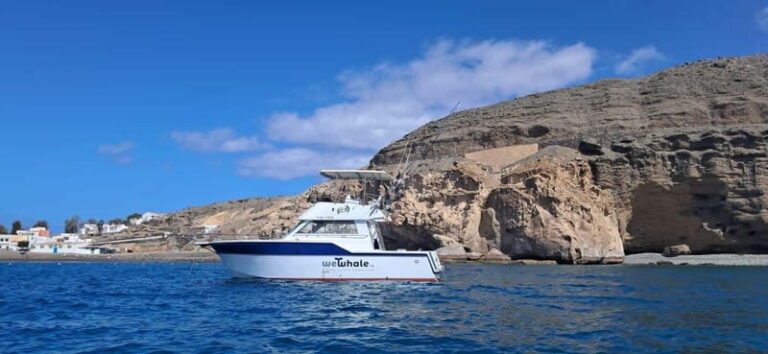 Sunset Dolphin Watching Tour on Hybrid Boat in Small Group - The Itinerary Breakdown