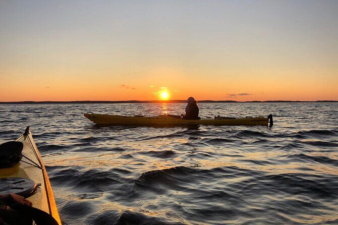 Sunset Kayak Tour in the Stockholm Archipelago + Swedish Fika - Why Youll Love This Tour