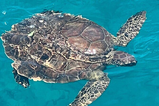 SUNSET LUXURY YACHT Protaras - HUGE slide - BBQ - 1 free drink - The Itinerary: An In-Depth Look