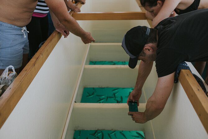 Sunset panorama & swimming with a fishes - Practical Details and Tips