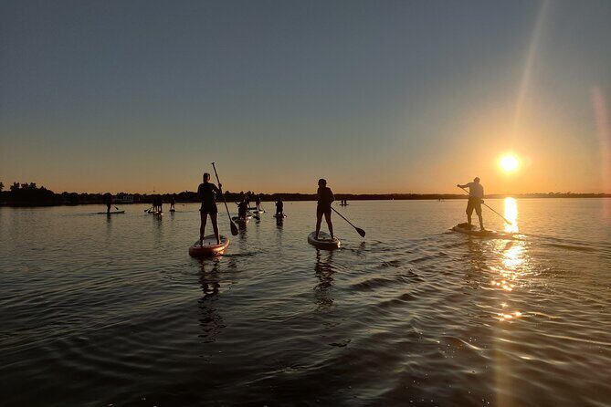 Sunset SUP experience in Malahide, Dublin - What’s Included and What You Need to Know