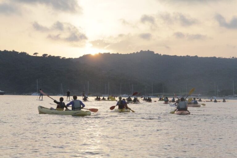 Sunset trip kayak tour in the gulf of Saint-Tropez - Why This Tour Offers Great Value