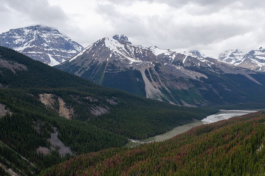 Sunwapta Valley in summer with green meadows and mountain peaks