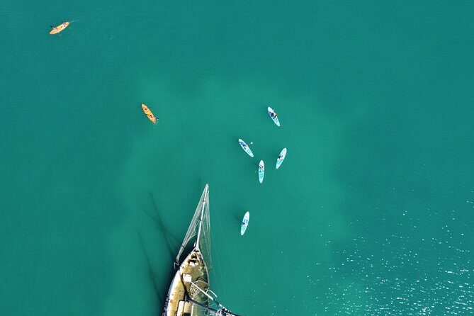 Sup and Canoe or Kayak Tour - Why This Tour Is Worth It