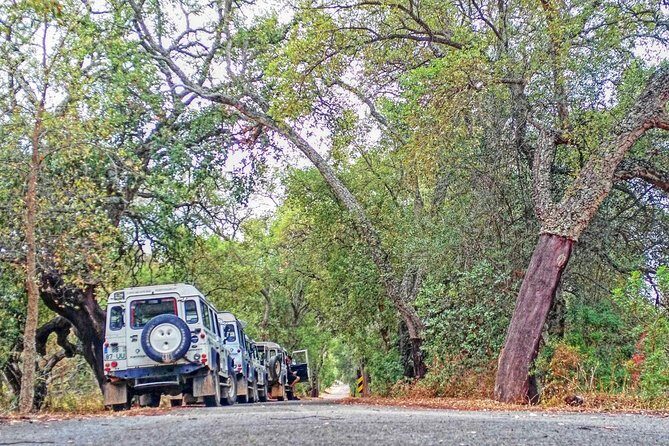 Super Day- Jeep Tour + Arade River Cruise - Final Thoughts: Who Should Consider This Tour?