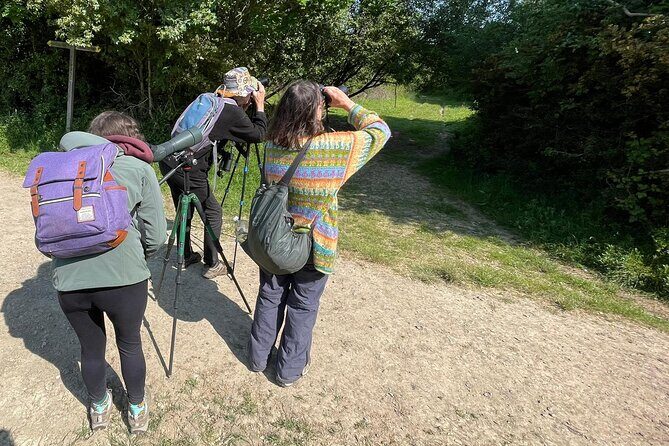 Sussex Birdwatching Private Guided Day Tour - Value & Who Will Love This?