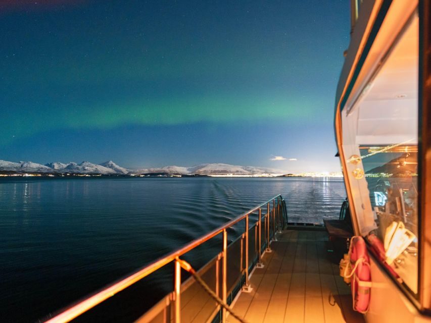 Svolvær: Northern Lights and Full Steam Cruise with Tasting - What’s Included and What’s Not