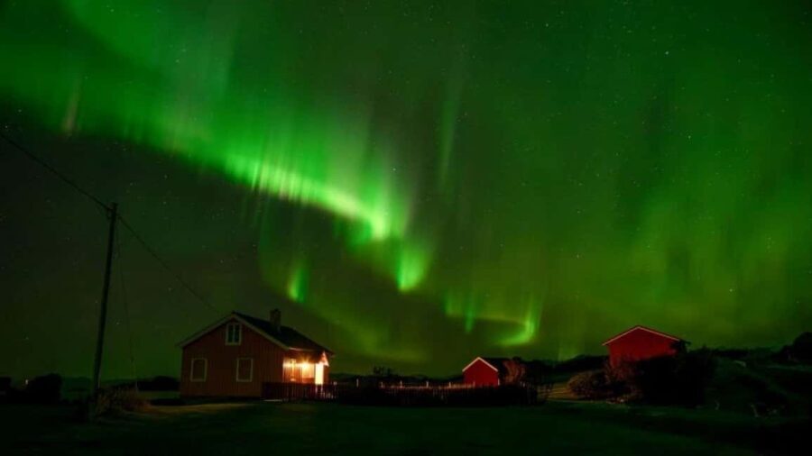 Svolvær: Northern Lights Tour with Hot Drinks & Photos - Authentic Reviews and Real Experiences