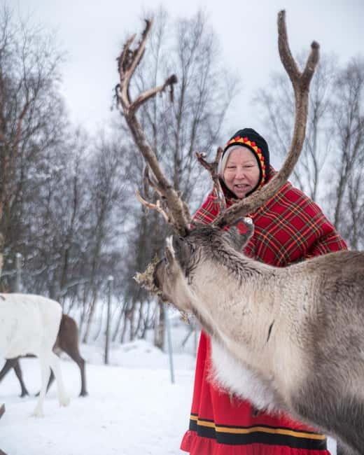 Svolvær: Sami Culture and Reindeer Experience - Who Will Love This Tour?