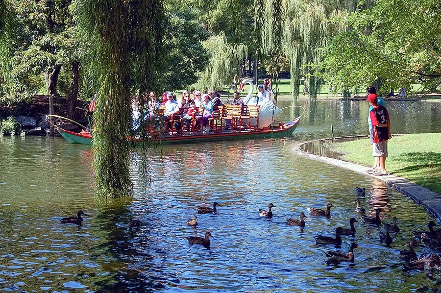 Swan boats on the Boston Public Garden lagoon