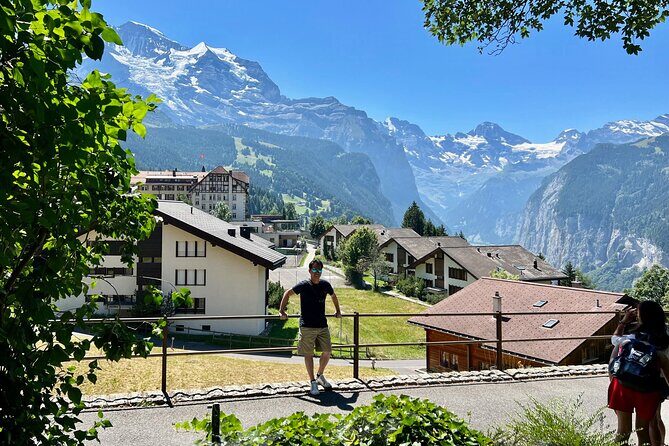 Swiss Alps panorama Tour with private guide from Zurich - Who Will Love This Tour?