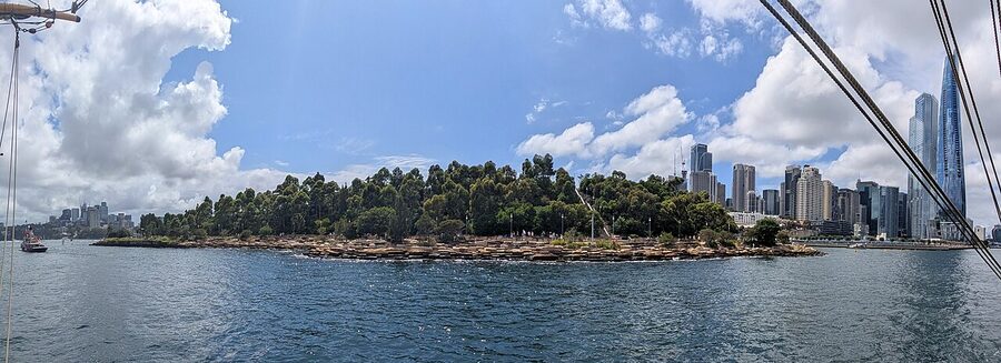 Barangaroo Reserve Sydney harbour foreshore parkland