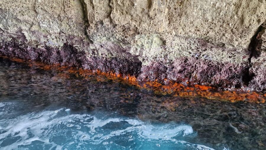 Syracuse: Picnic boat tour of Pillirina, Ortigia & sea caves - The Value of the Experience