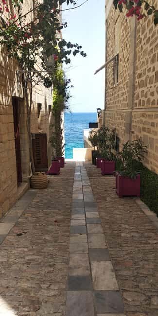 Syros: Food Walking Tour - Who Will Love This Tour?