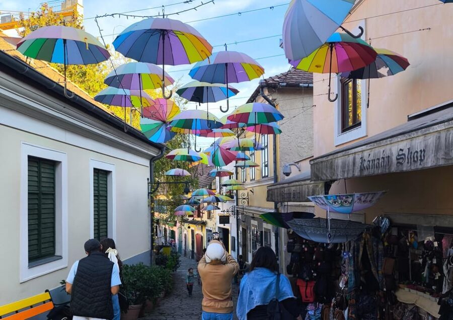 Szentendre, Visegrád and Esztergom Private Danube Bend Tour - Why Choose a Private Tour?