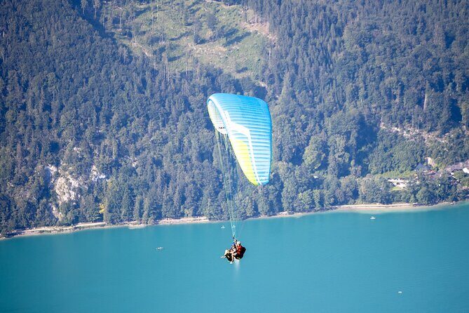 Tandem Paragliding St. Gilgen - Wolfgangsee - Why This Tour Is Worth It