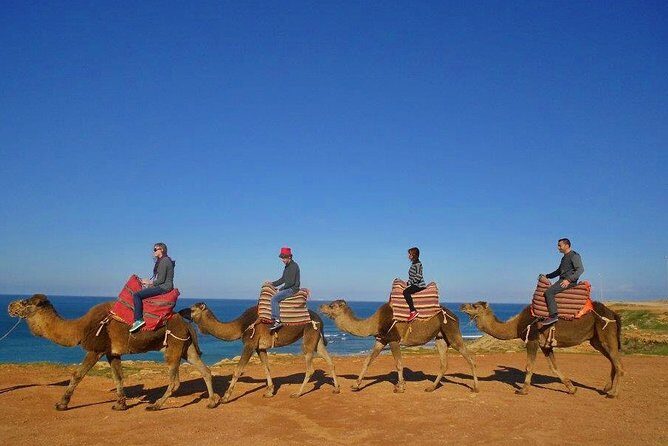 Tangier in Morocco private tour from Seville all inclusive - Transportation & Timing: What It Means for You