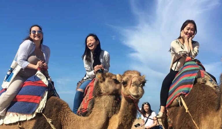 Tangier Private Half-Day Tour + Camel Ride + Add-on: Lunch - Who Will Love This Tour?